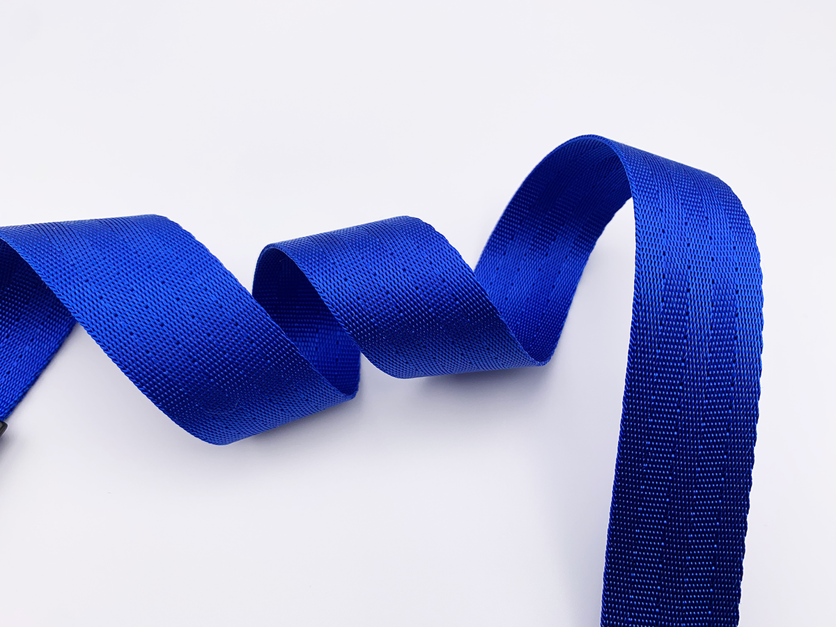 Royal Blue Webbing, Bag Straps, 2.5cm (1") wide – Misfits Fabric, UK